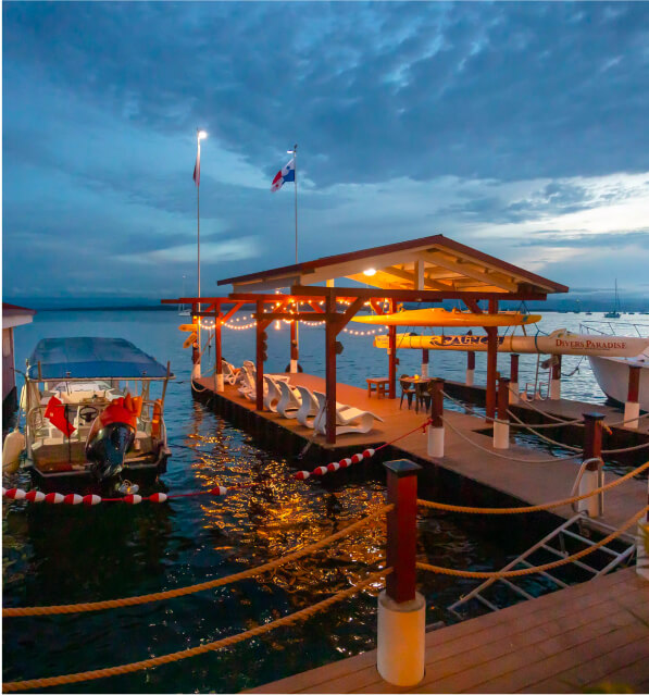 Night Dive - Divers Paradise