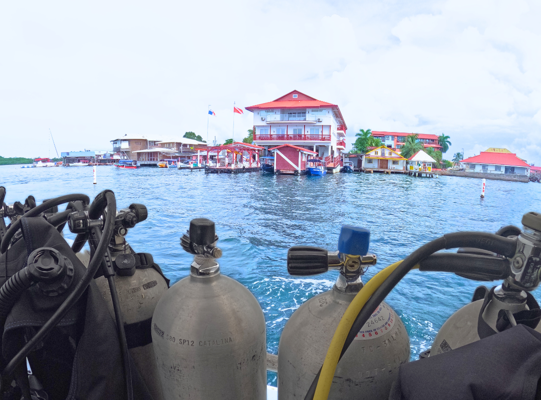 Bocas Town Waterfront Rooms: Benefits of Staying On-Site with the Dive ...